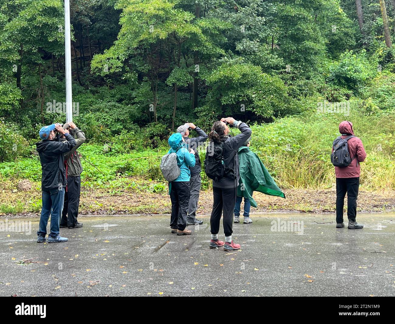 Group of bird watchers exploring for birds in Prospet Park in Brooklyn ...