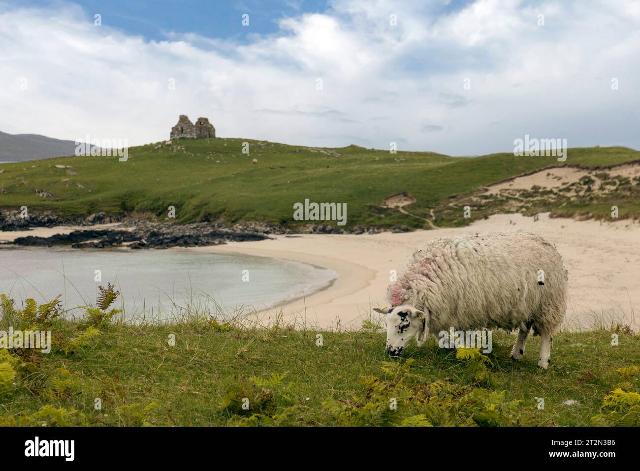 The temple near Northton in the Isle of Harris is a ruined chapel known ...