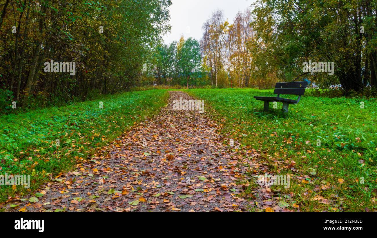 Autumn leaves on the ground in public park Stock Photo - Alamy
