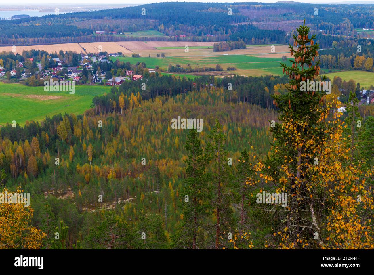 Calm swedish landscape hi-res stock photography and images - Alamy