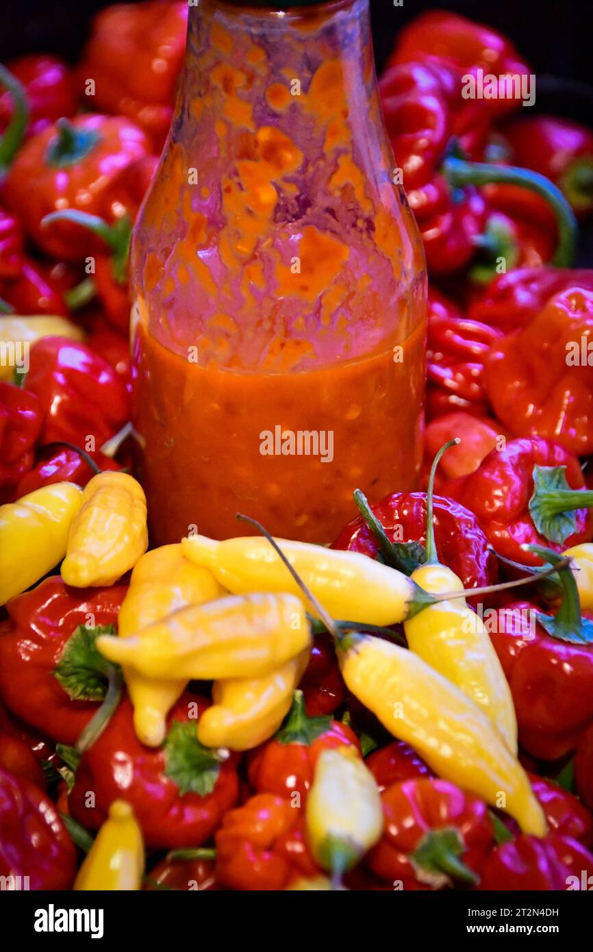 Fresh chillies hi-res stock photography and images - Alamy
