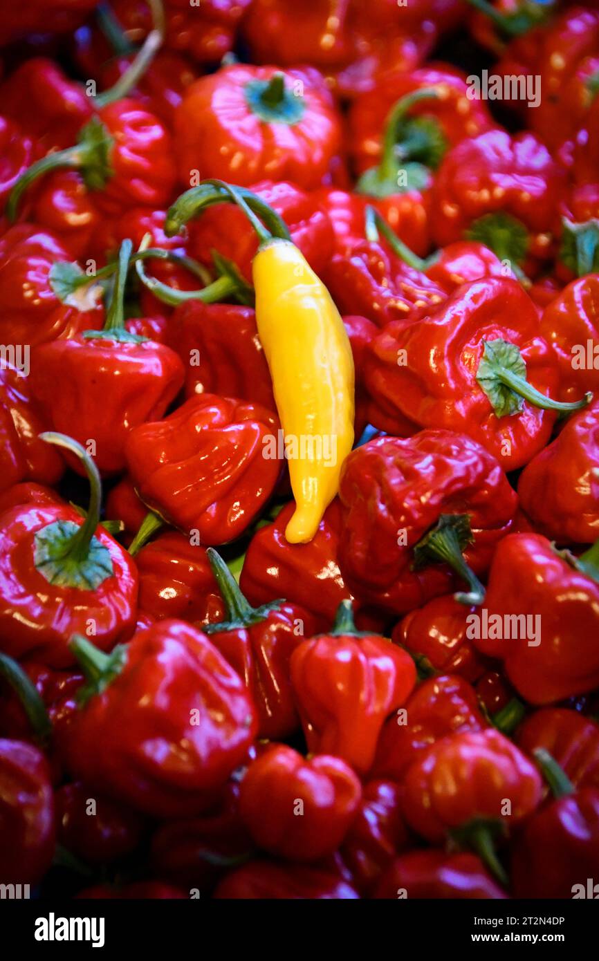 Red hot chili peppers 2023 hi-res stock photography and images - Alamy