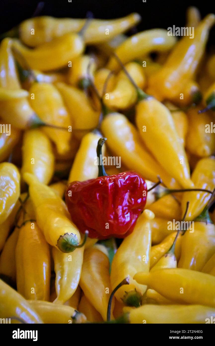 Red hot chillies hi-res stock photography and images - Alamy