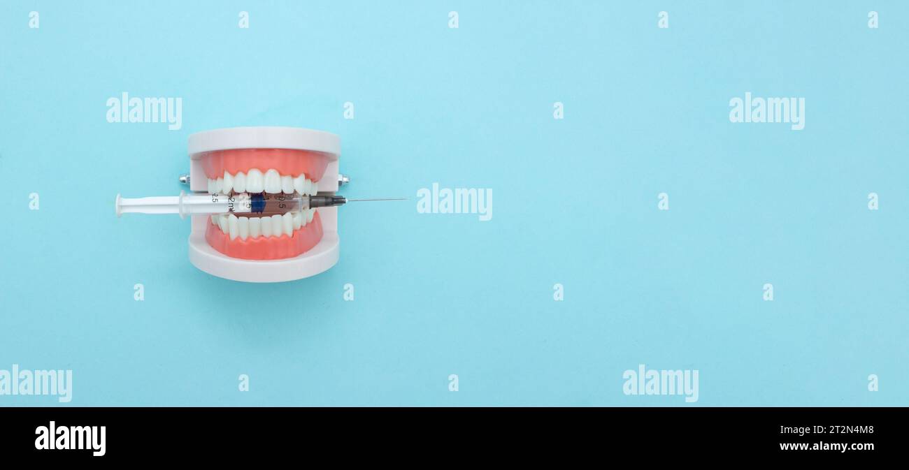 Dental concept. False teeth, jaws. Dentistry conceptual photo. Dental ...