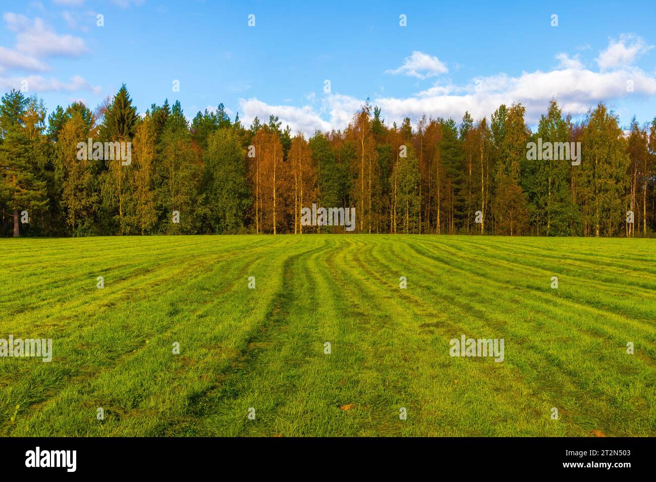 Amazing fall landscape with vivid autumn colors Stock Photo - Alamy