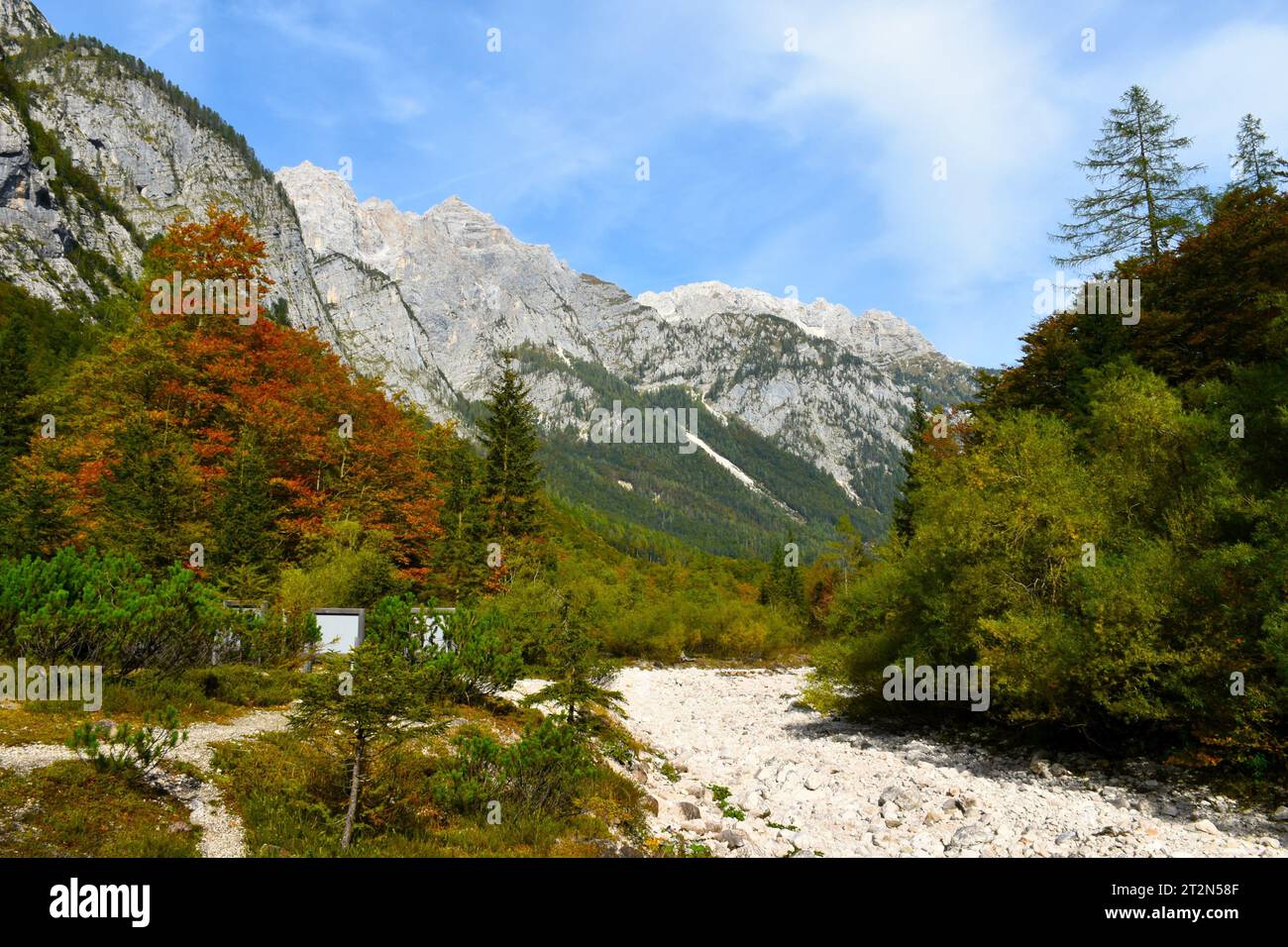 View of Vrata valley and Skrlatica mountain above in Gorenjska ...