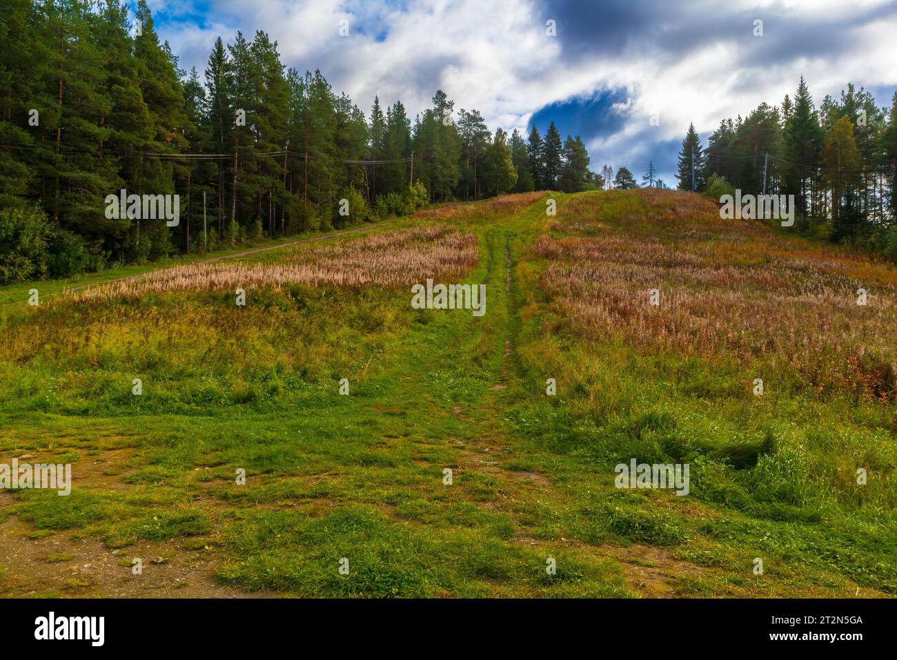 Hill in fall colors Stock Photo - Alamy