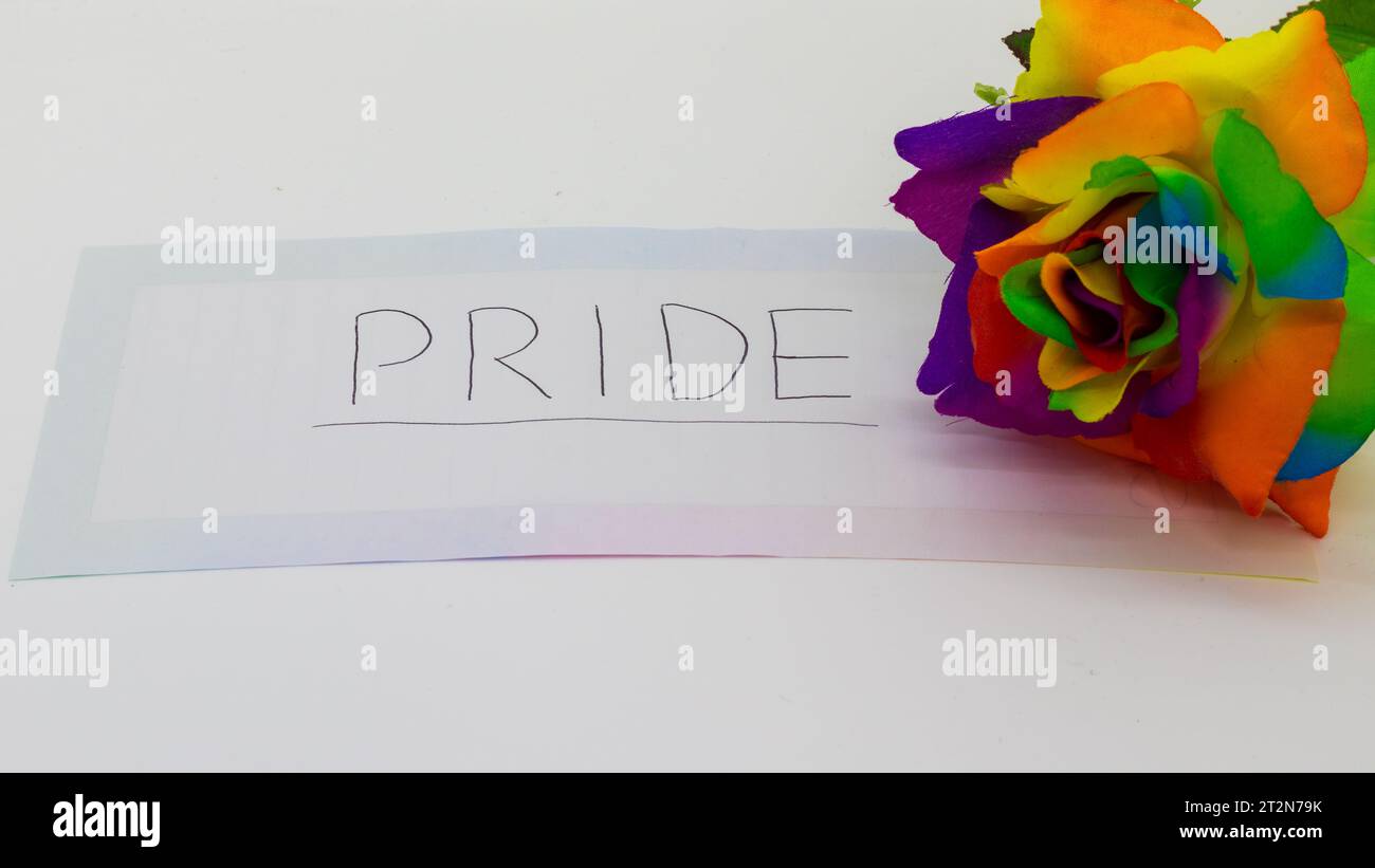 Pride handwritten on note with a rainbow rose on white background Stock ...
