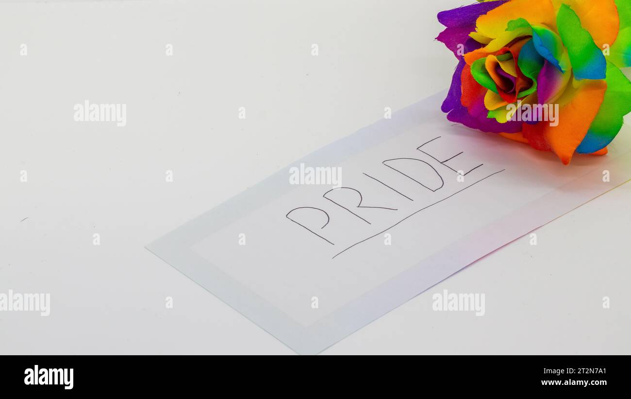 Pride handwritten note with rainbow rose Stock Photo - Alamy