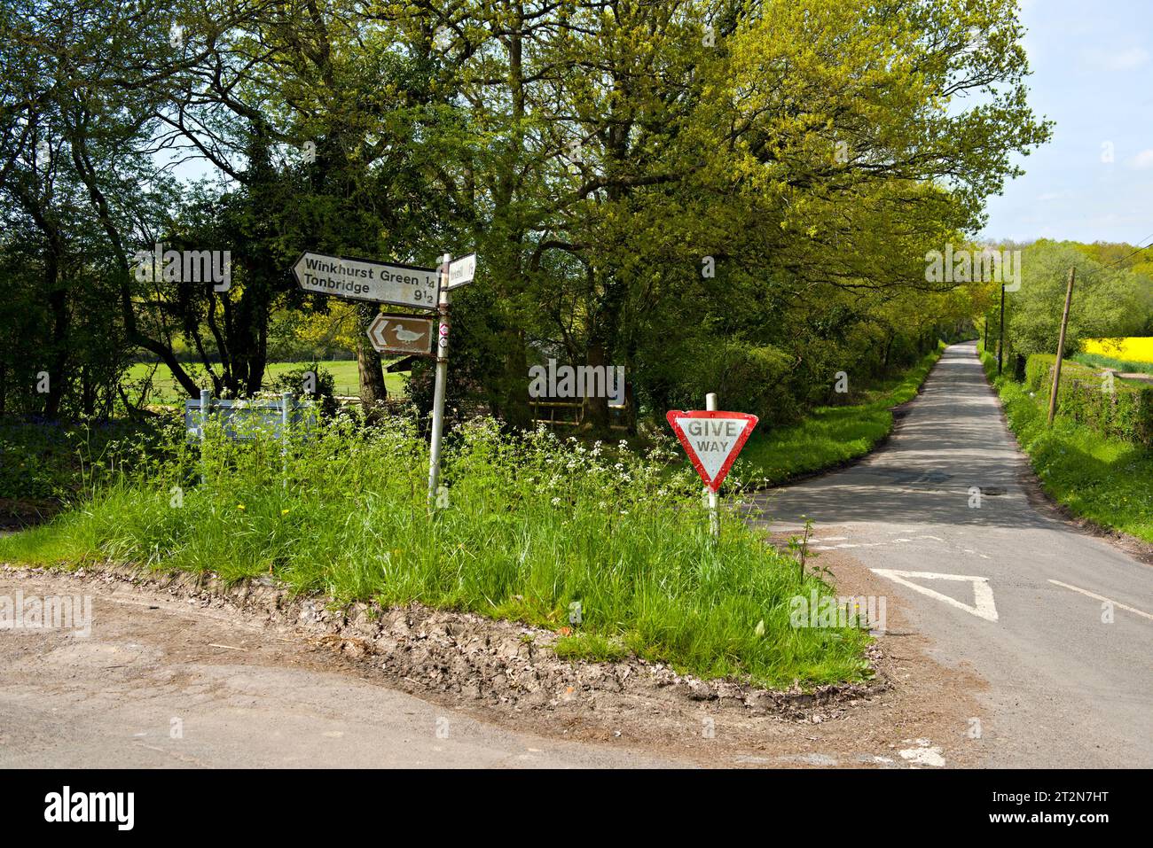 A country lane at Winkhurst Green, near Tonbridge, Kent, UK. with the ...