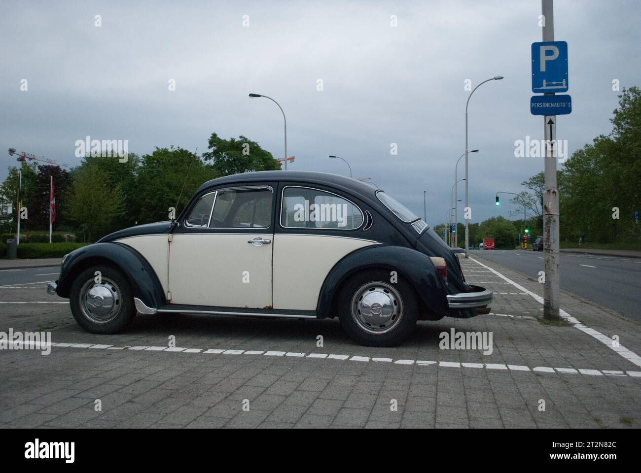 Two tone beetle hi-res stock photography and images - Alamy