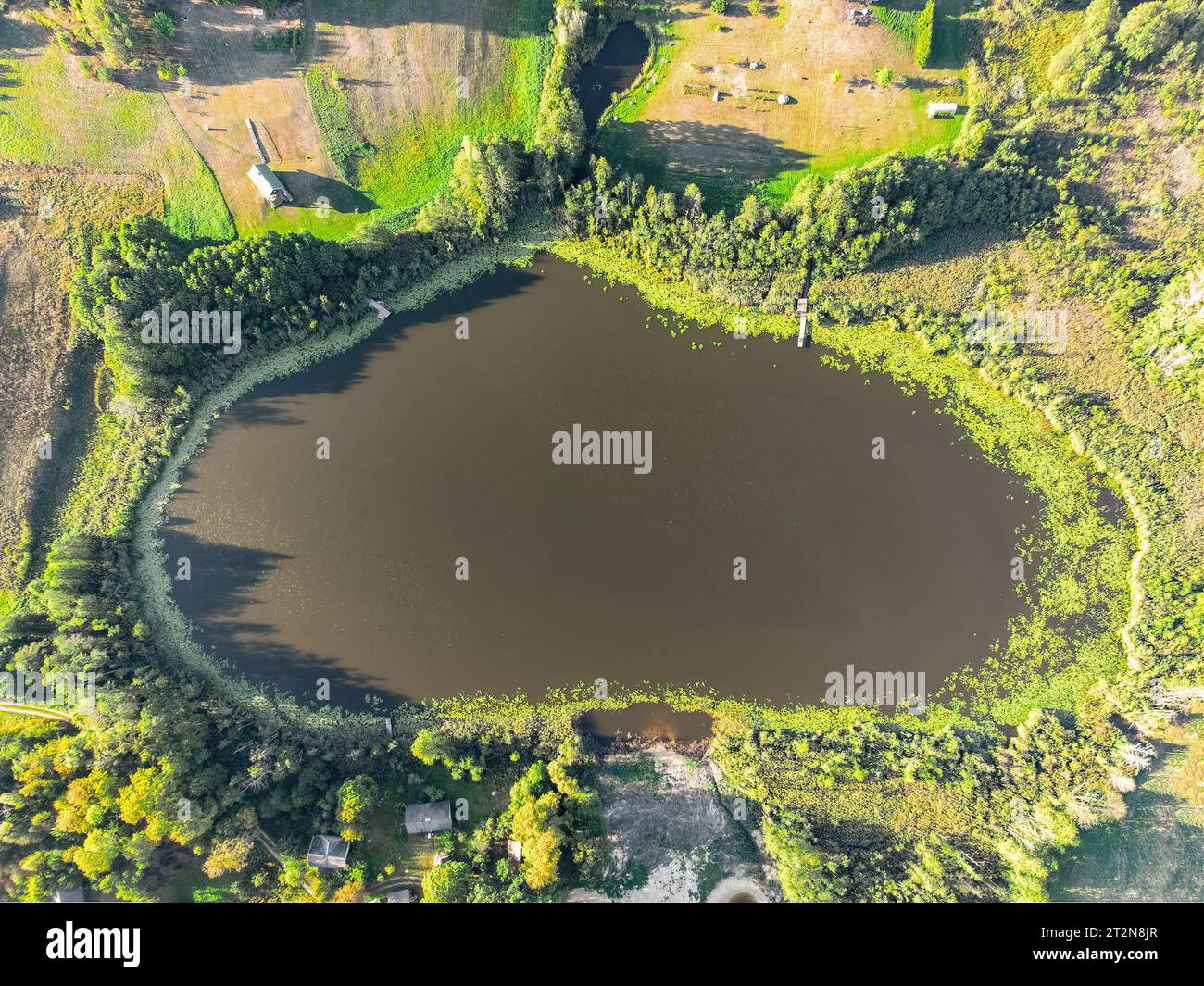 Aerial view of a lake in the forests of Lithuania, wild nature. The ...