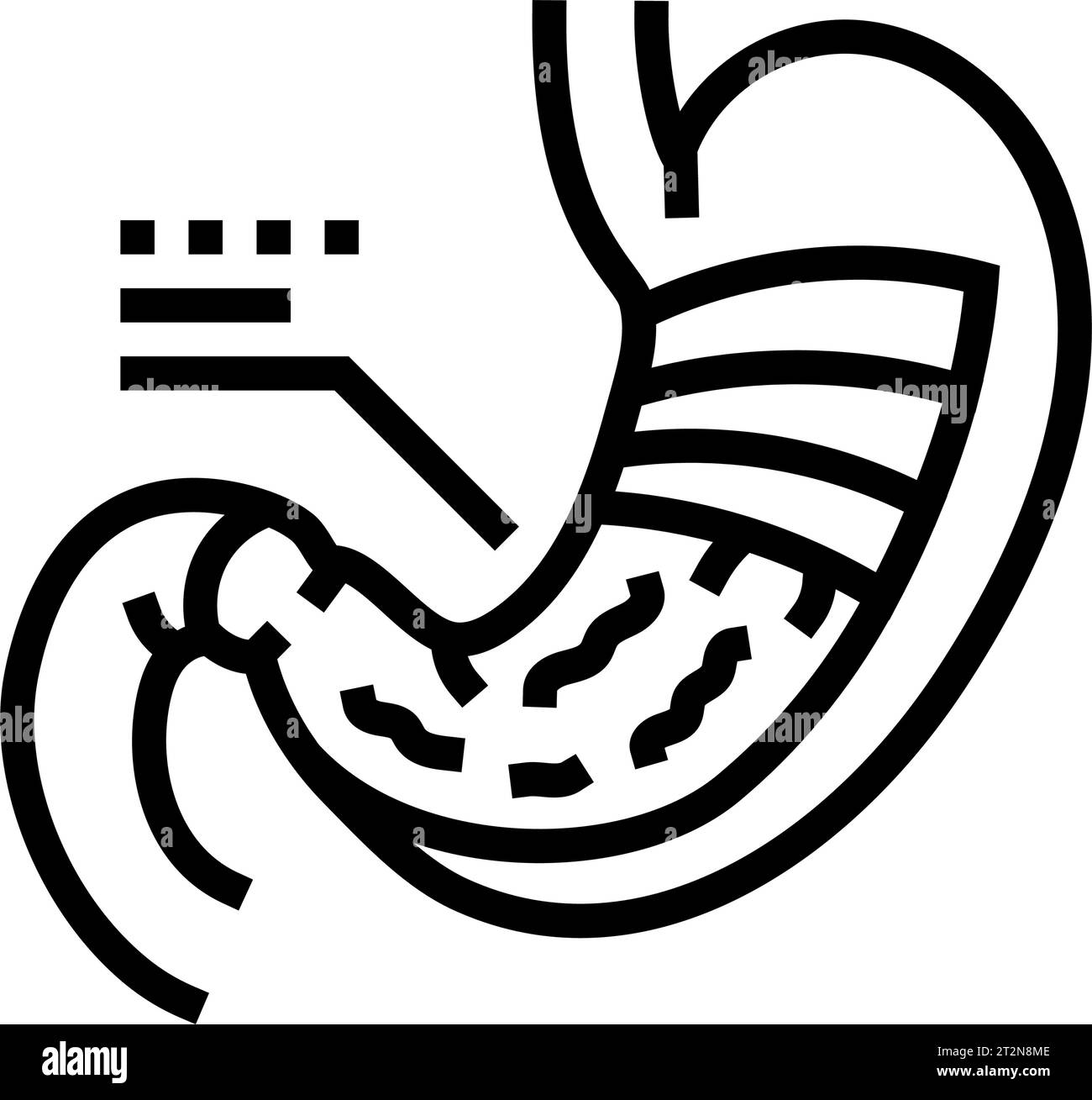 stomach anatomy gastroenterologist line icon vector illustration Stock ...