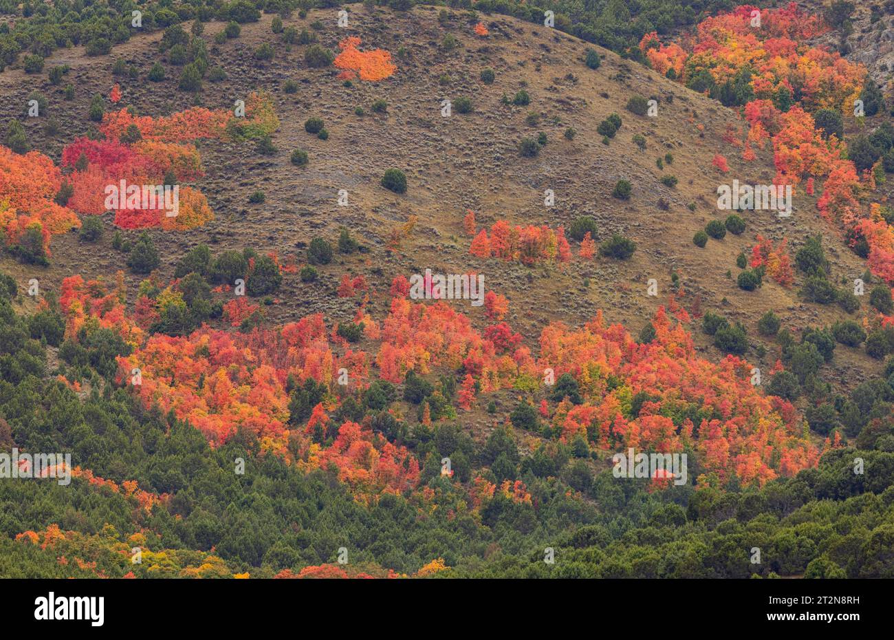 Southeast Idaho Autumn Landscape Stock Photo - Alamy