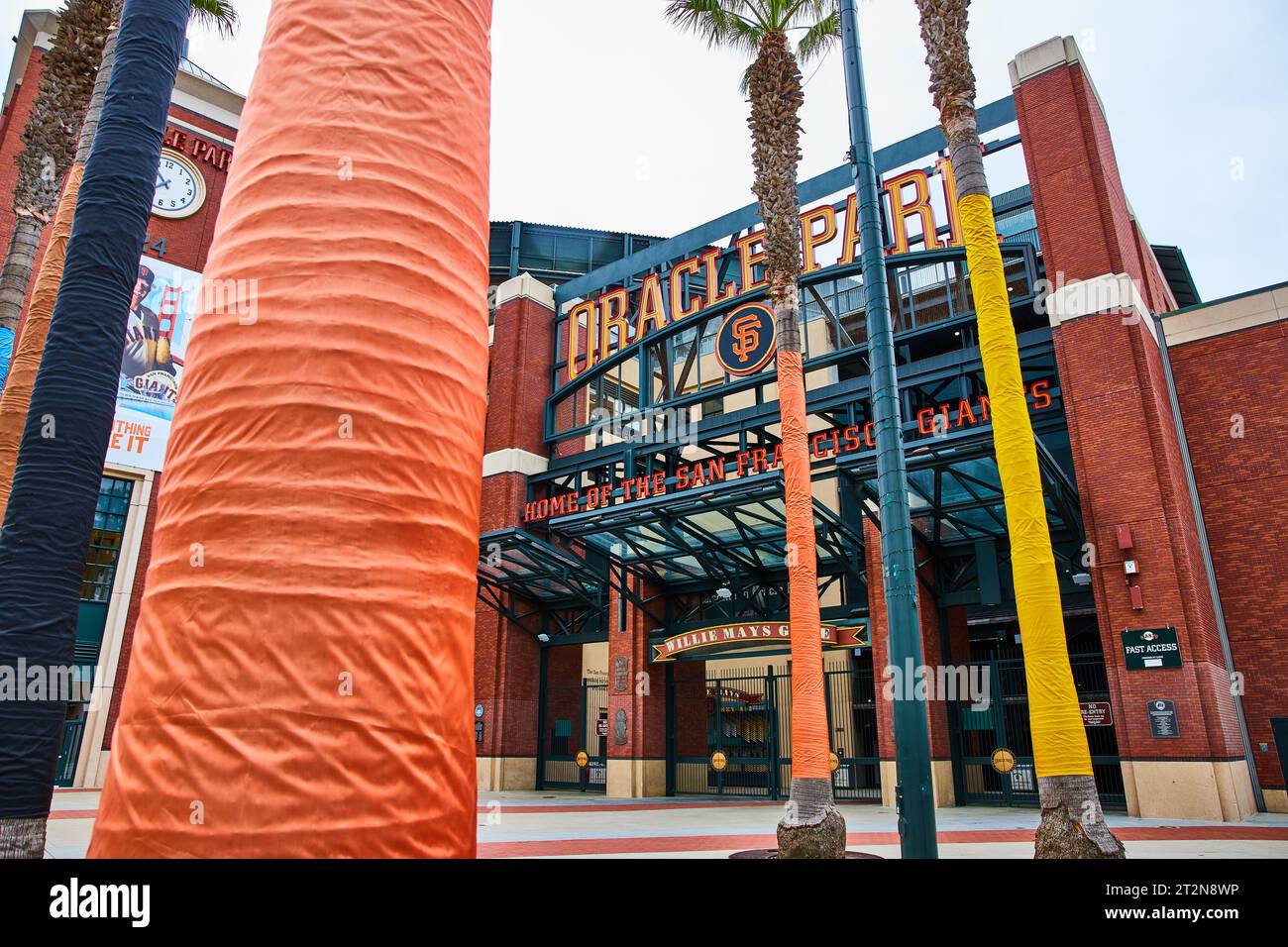 Oracle Park Willie Mays Gate entrance between colorful wrapped palm ...