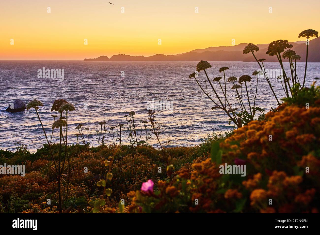 Sunset sky over ocean with distant mountains viewed from hilltop ...