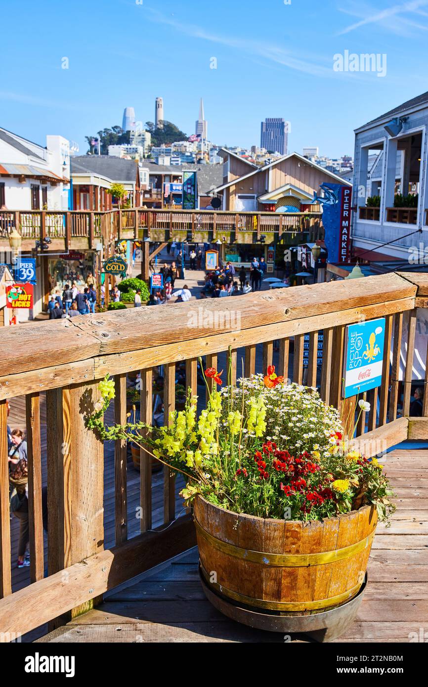 Deck with assorted colorful flowers in barrel on Pier 39 with distant ...
