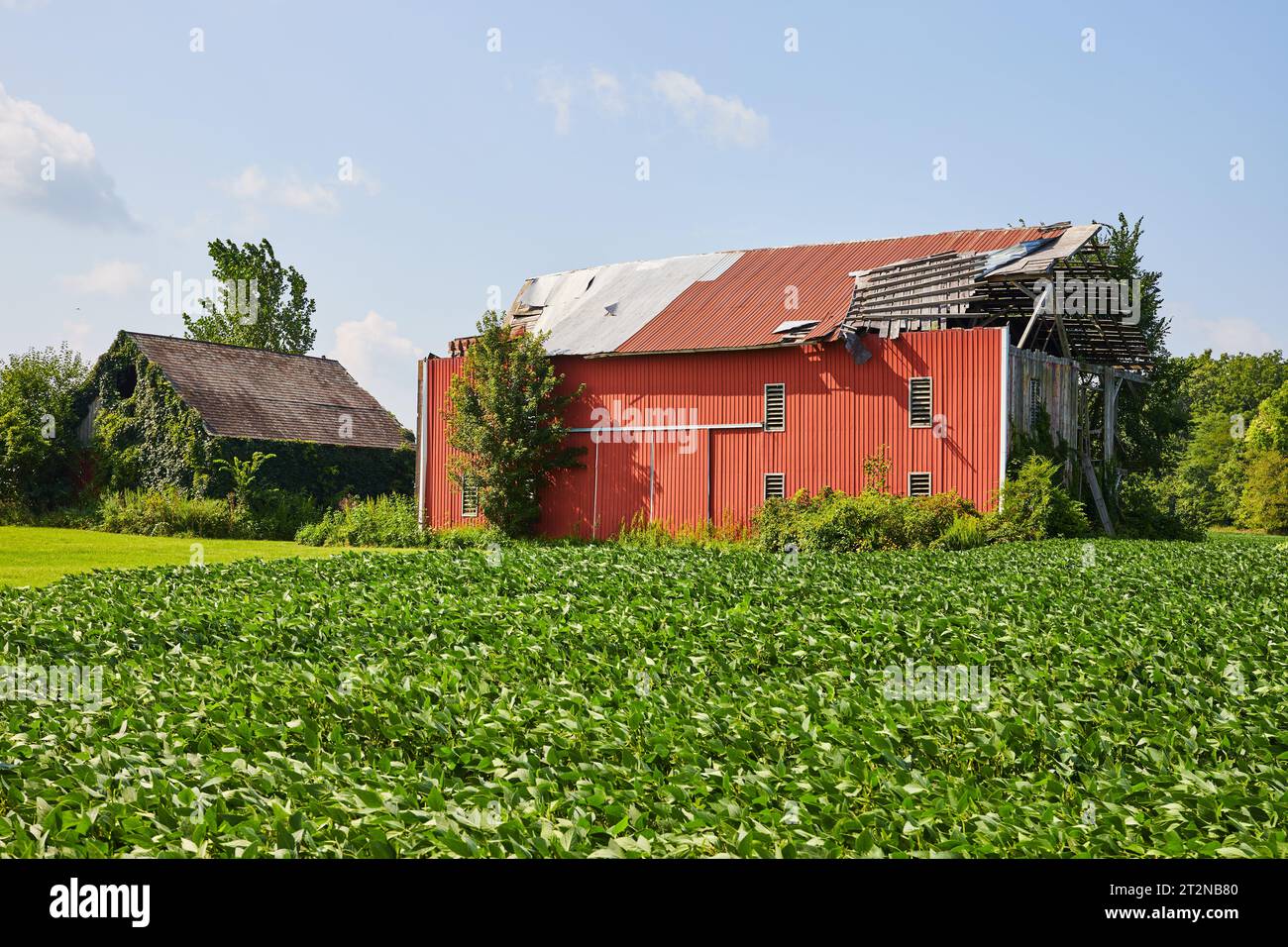 Ivy farm barns hi-res stock photography and images - Alamy