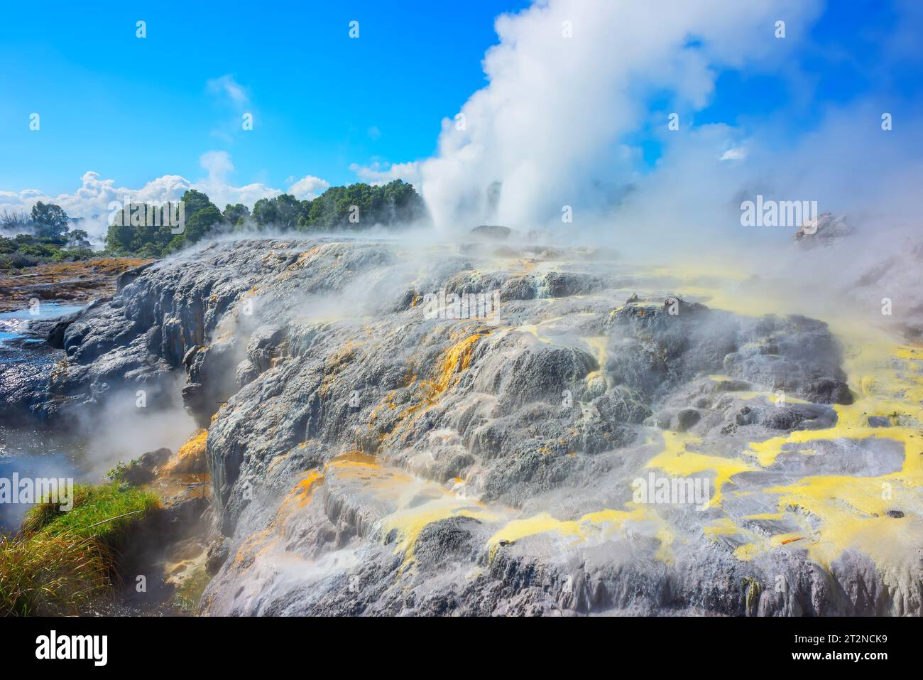 Prince of wales geyser te puia hi-res stock photography and images - Alamy