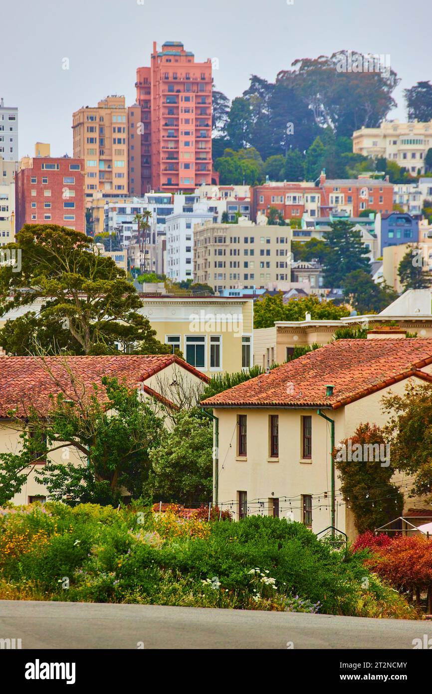 Houses and apartment buildings in colorful assortment of architecture ...