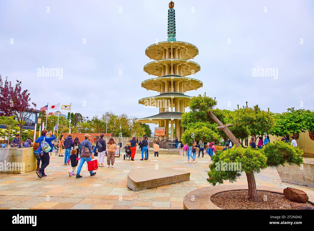 Bonsai Tree in Japantown with Peace Pagoda surrounded by crowd of ...