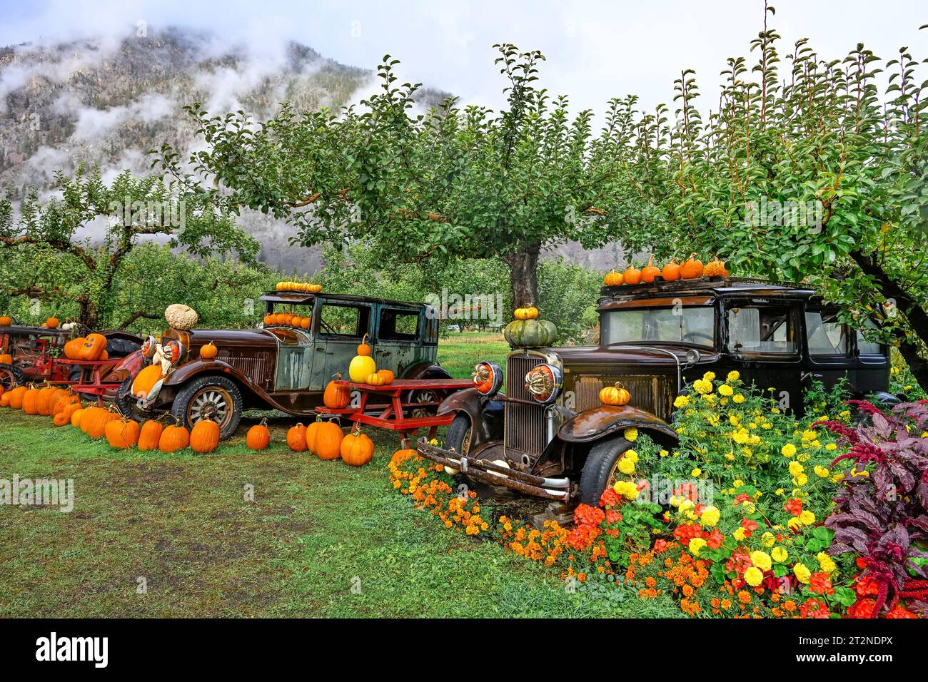 Vintage cars with Fall pumpkin display, Parsons Fruit Stand, Keremeos ...