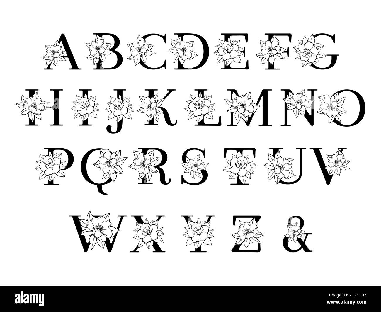 Floral Alphabet, Flower Letters, decorative letters set. Vector ...
