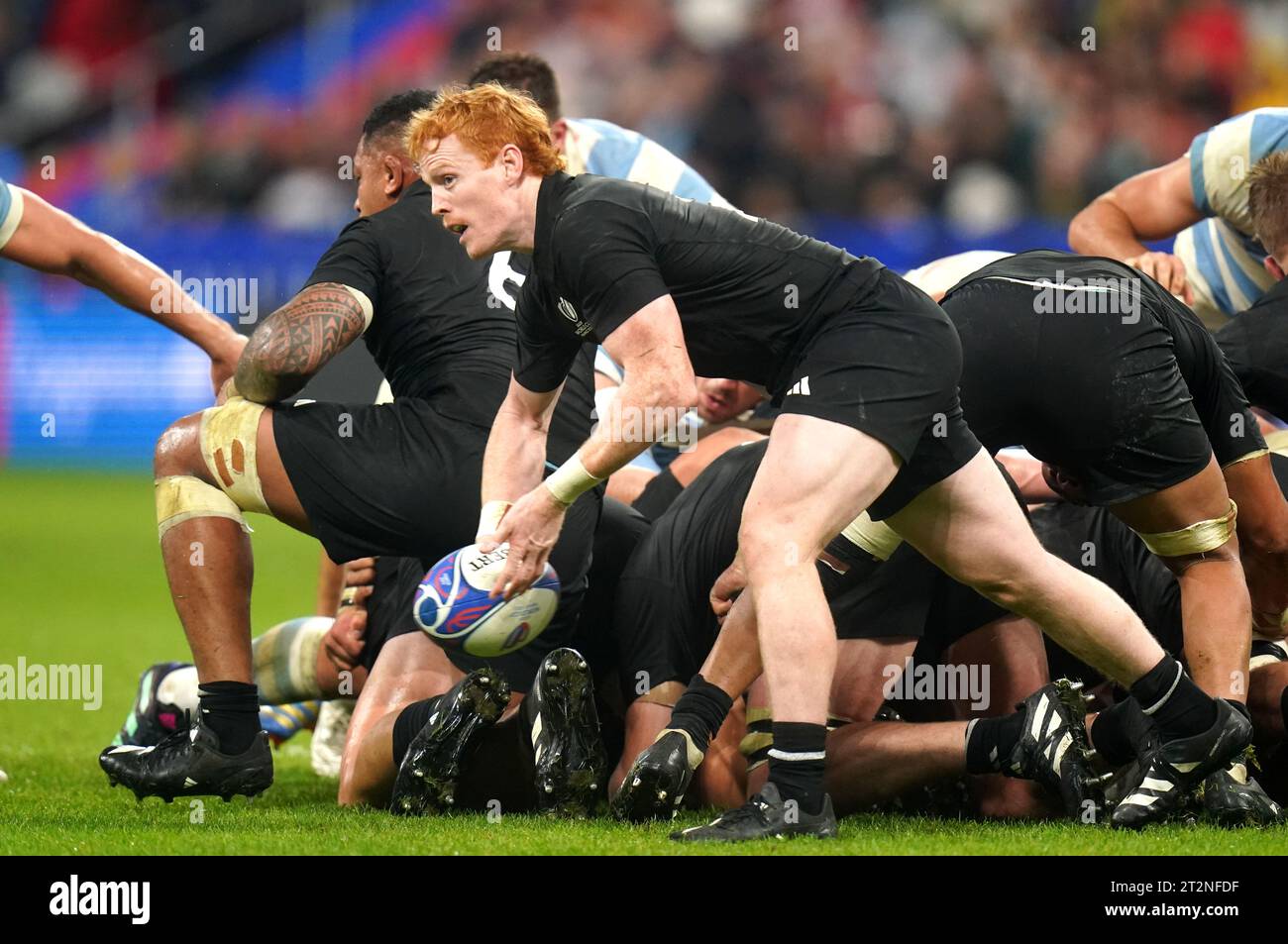 New Zealand's Finlay Christie during the Rugby World Cup 2023 semi ...