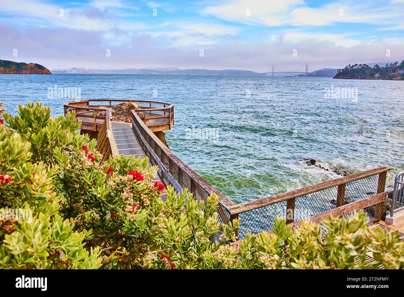 Large bush with red flowers beside Elephant Rock and Golden Gate Bridge ...