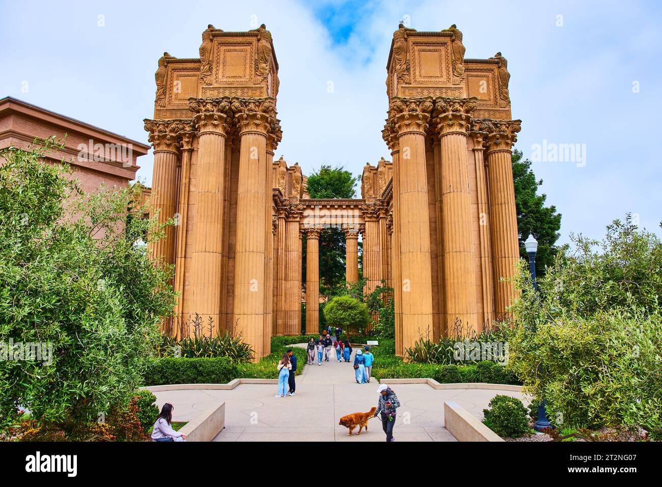Golden retriever on walk through Roman colonnade pillars at Palace of ...