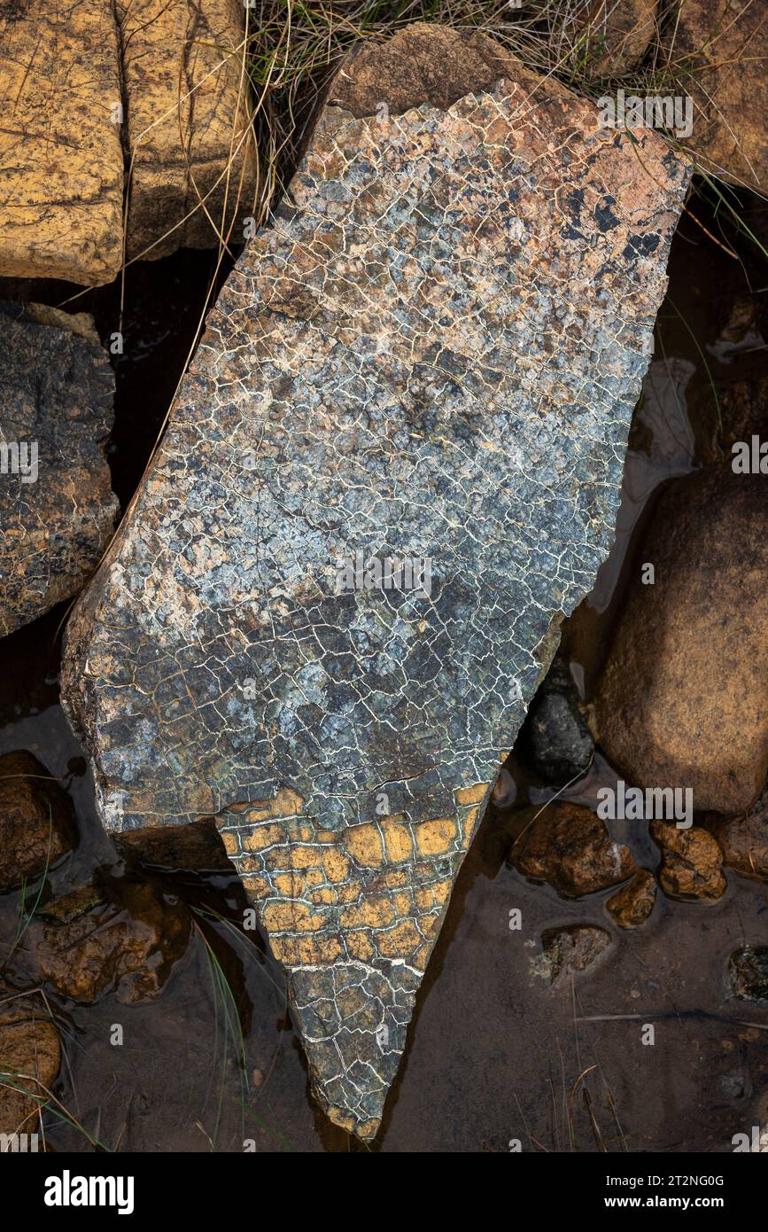 Serpentine rock from earth's mantle in Gros Morne NP, Newfoundland ...