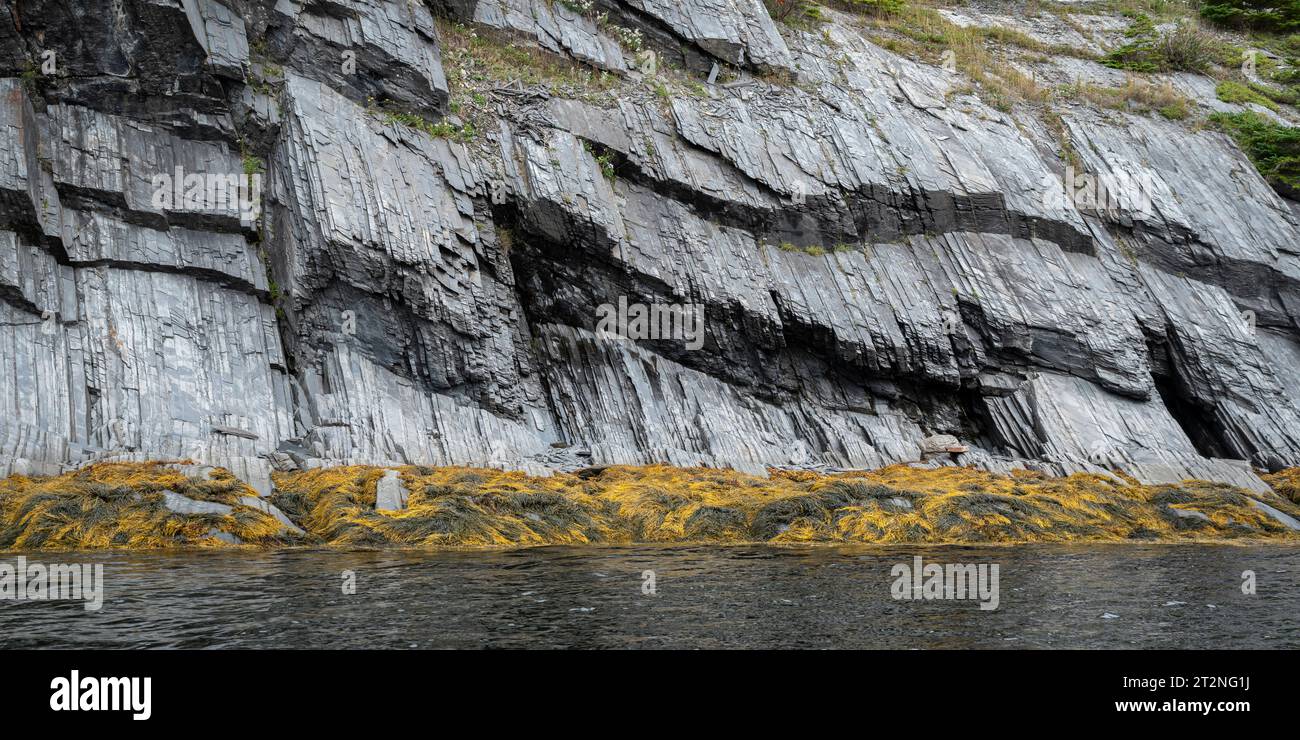 Rock formations at Norris Point, Gros Morne NP in Newfoundland Stock ...