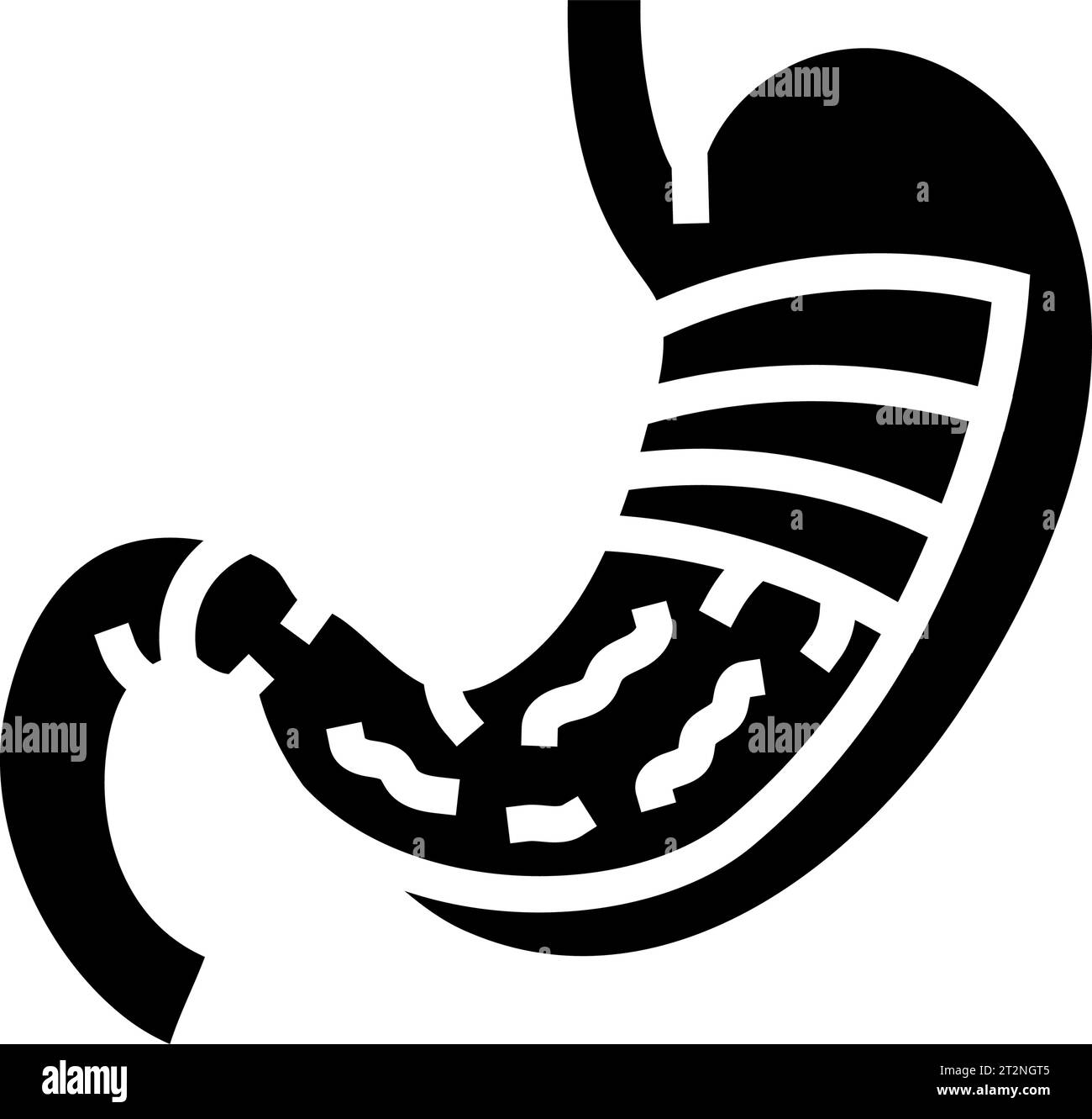 stomach anatomy gastroenterologist glyph icon vector illustration Stock ...