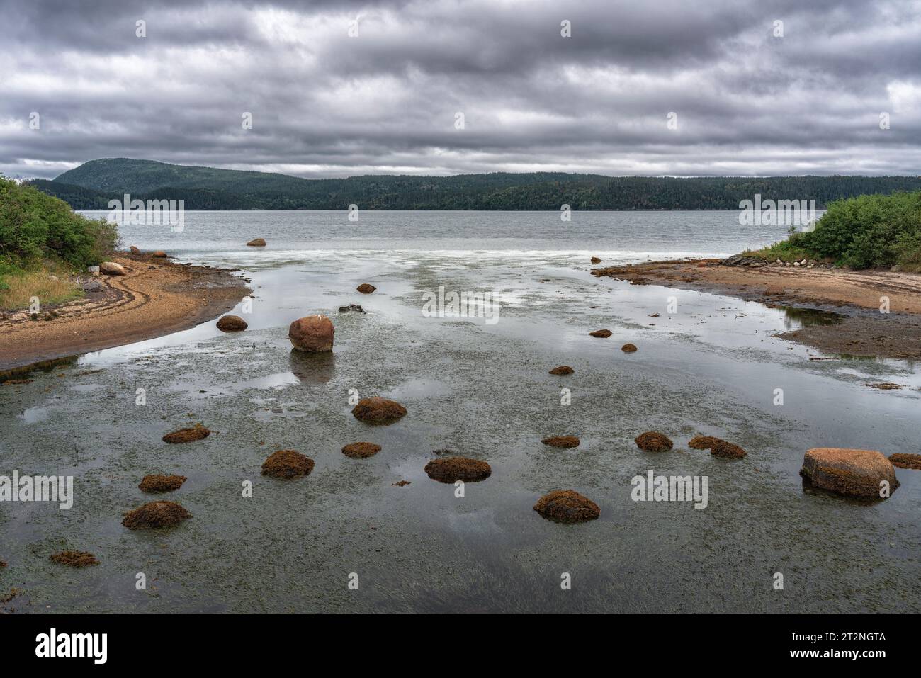 Canada terra nova national park hi-res stock photography and images - Alamy