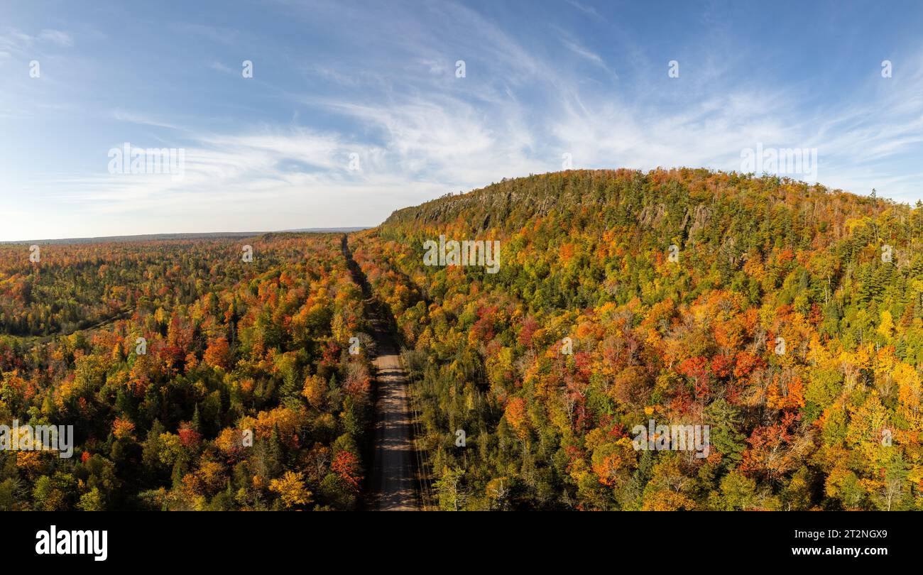 An Aerial view of a lush green landscape with rows of trees under the ...