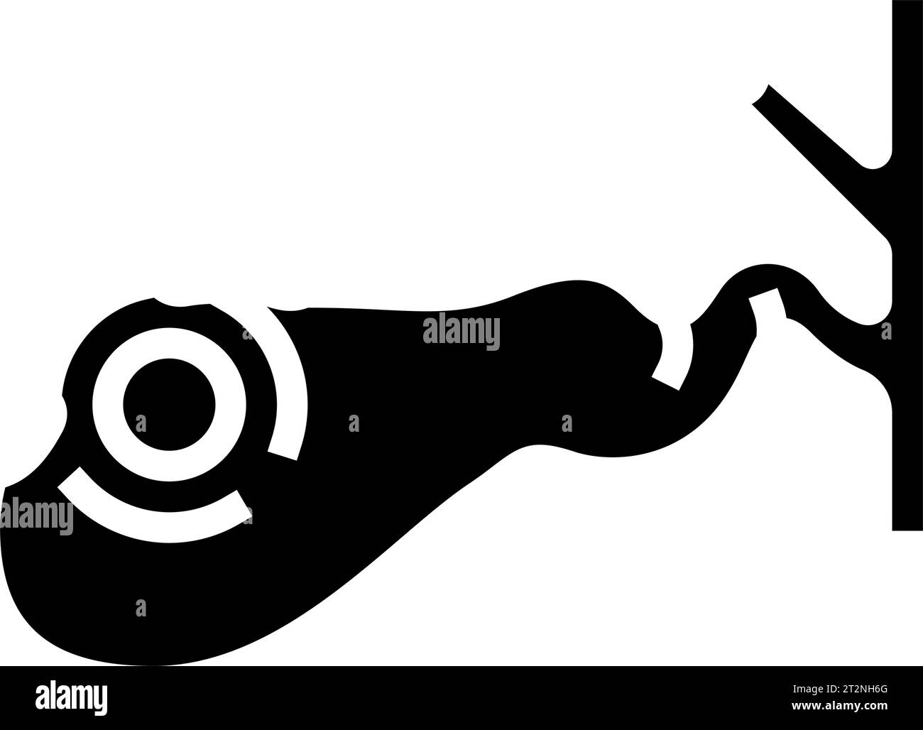 gallbladder check gastroenterologist glyph icon vector illustration ...