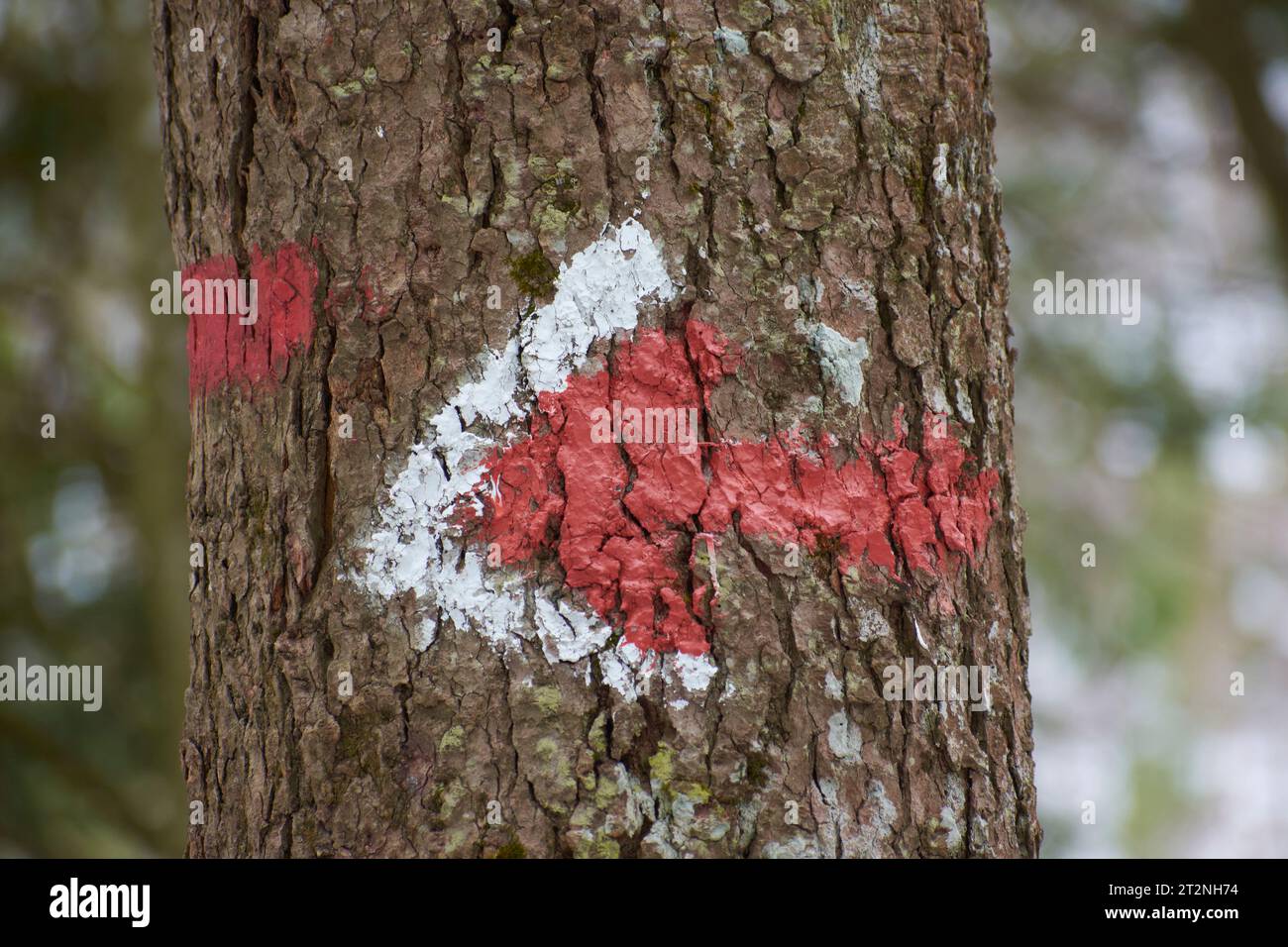 Orientation signs hi-res stock photography and images - Alamy