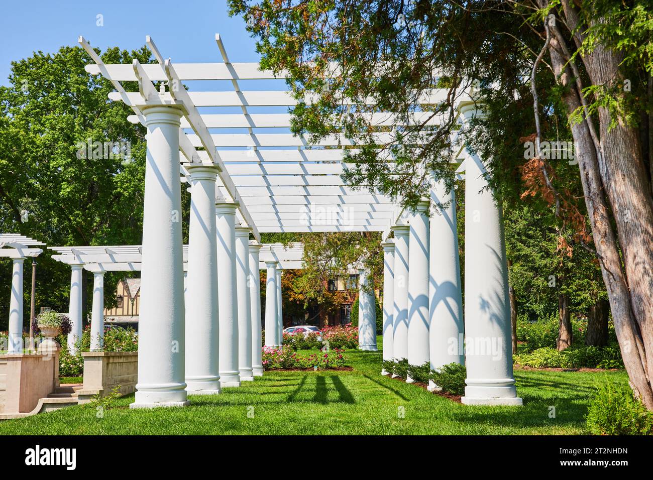 White trellis hi-res stock photography and images - Alamy