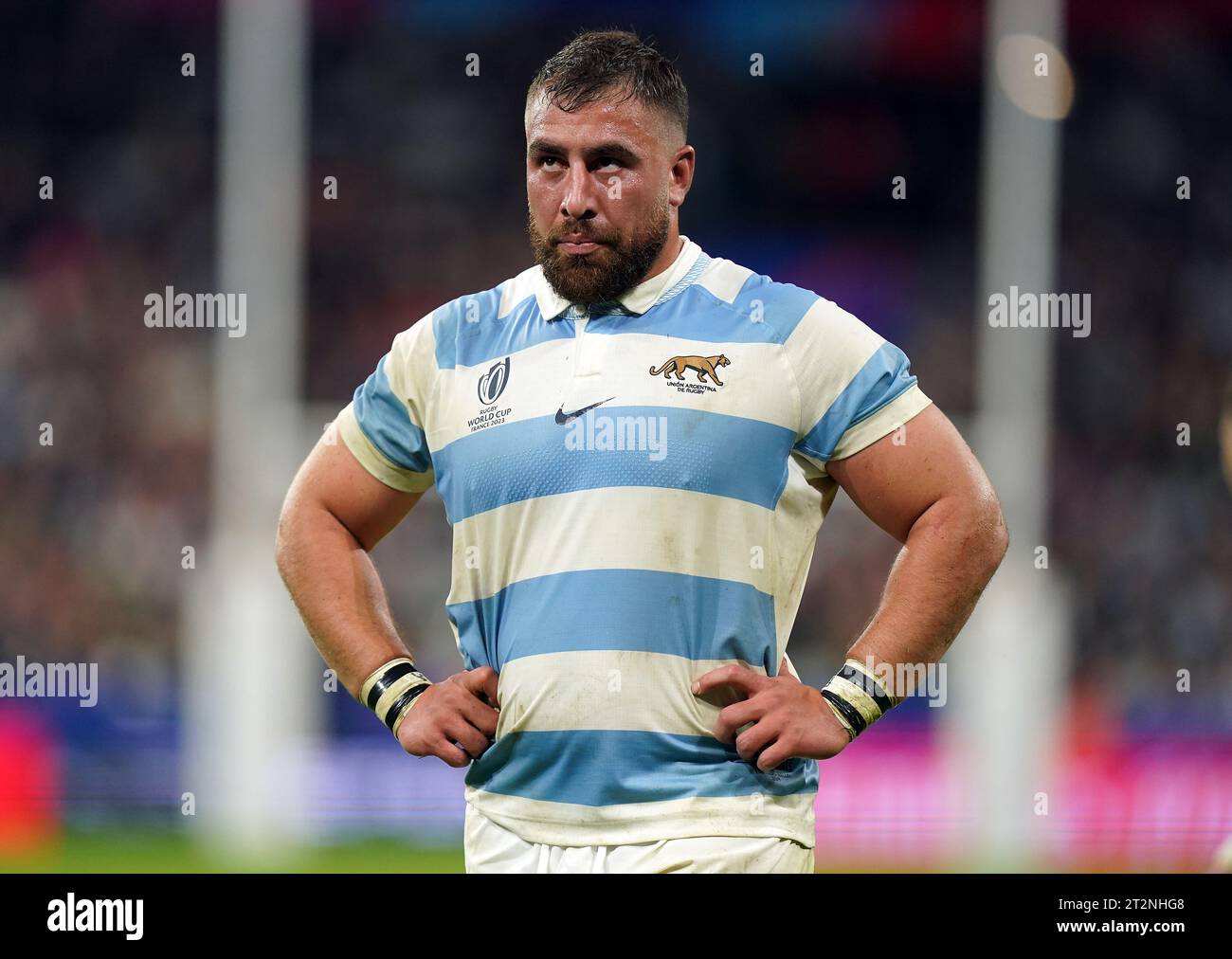 Argentina's Eduardo Bello during the Rugby World Cup 2023 semi final ...