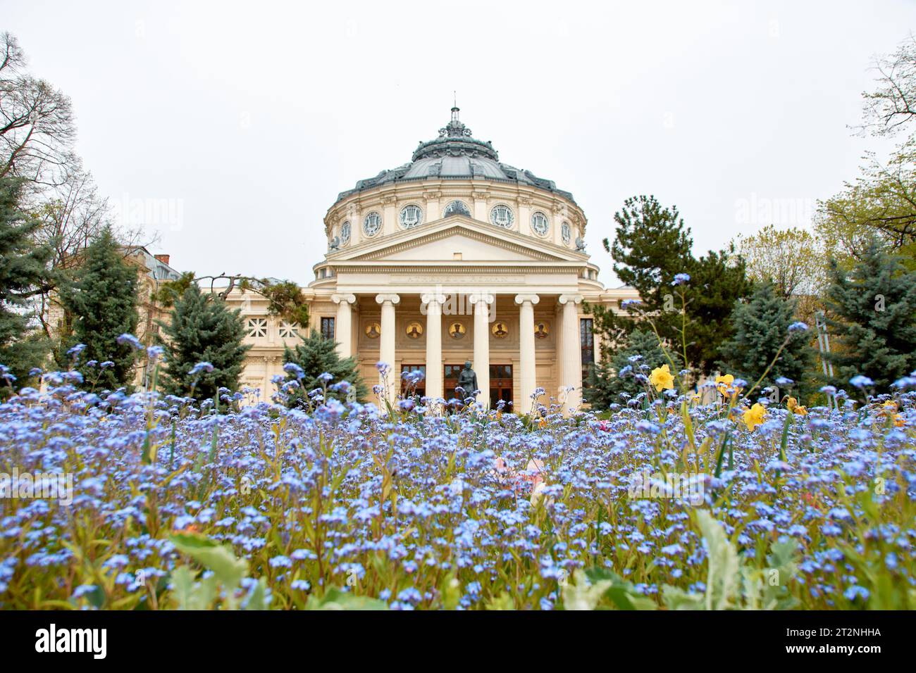 The Romanian Athenaeum in Bucharest in the spring Stock Photo - Alamy