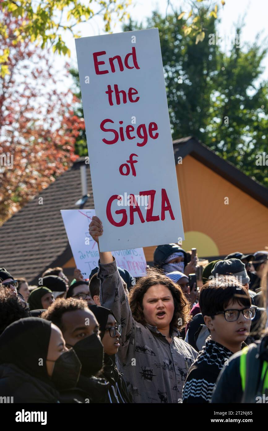 Minneapolis, Minnesota. March for Palestine Stock Photo - Alamy