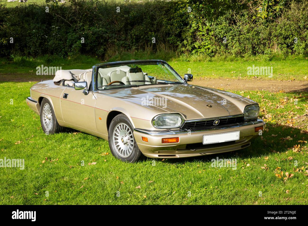 Convertible Jaguar XJS with top down in a country field in Autumn Stock ...