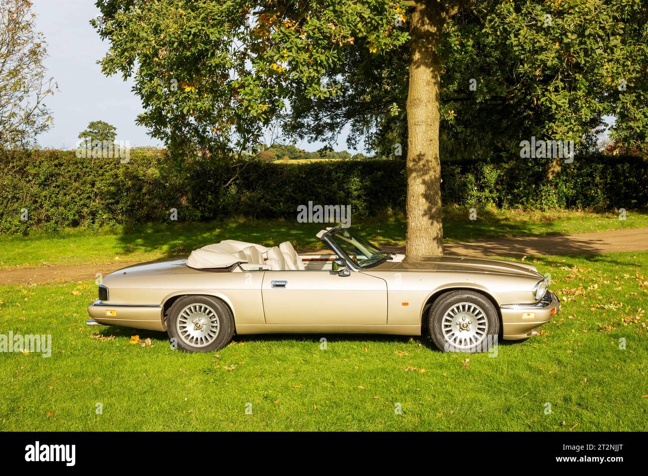 Convertible Jaguar XJS with top down in a country field in Autumn Stock ...