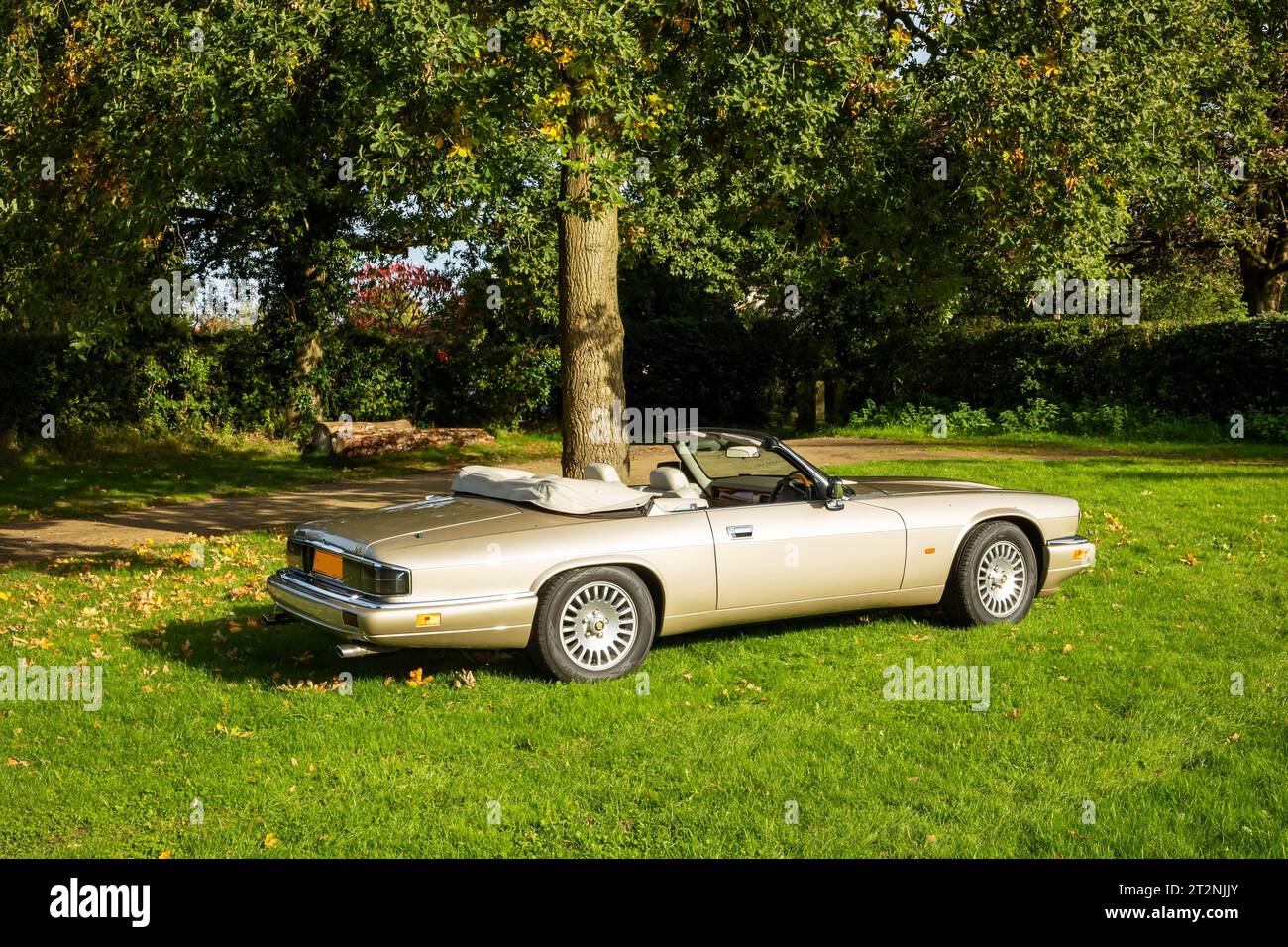 Convertible Jaguar XJS with top down in a country field in Autumn Stock ...