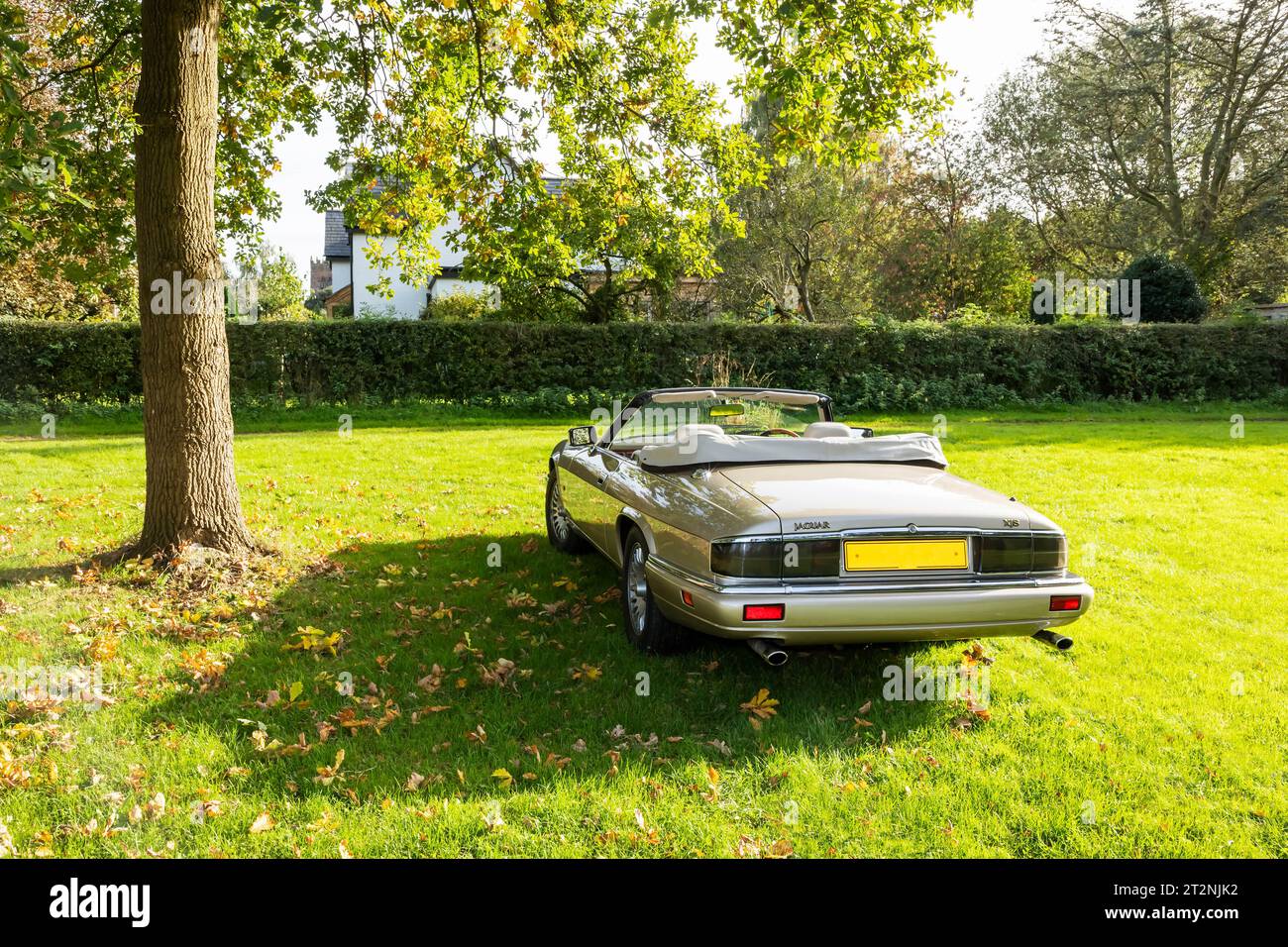 Rear view of a convertible Jaguar XJS with top down in a country field ...