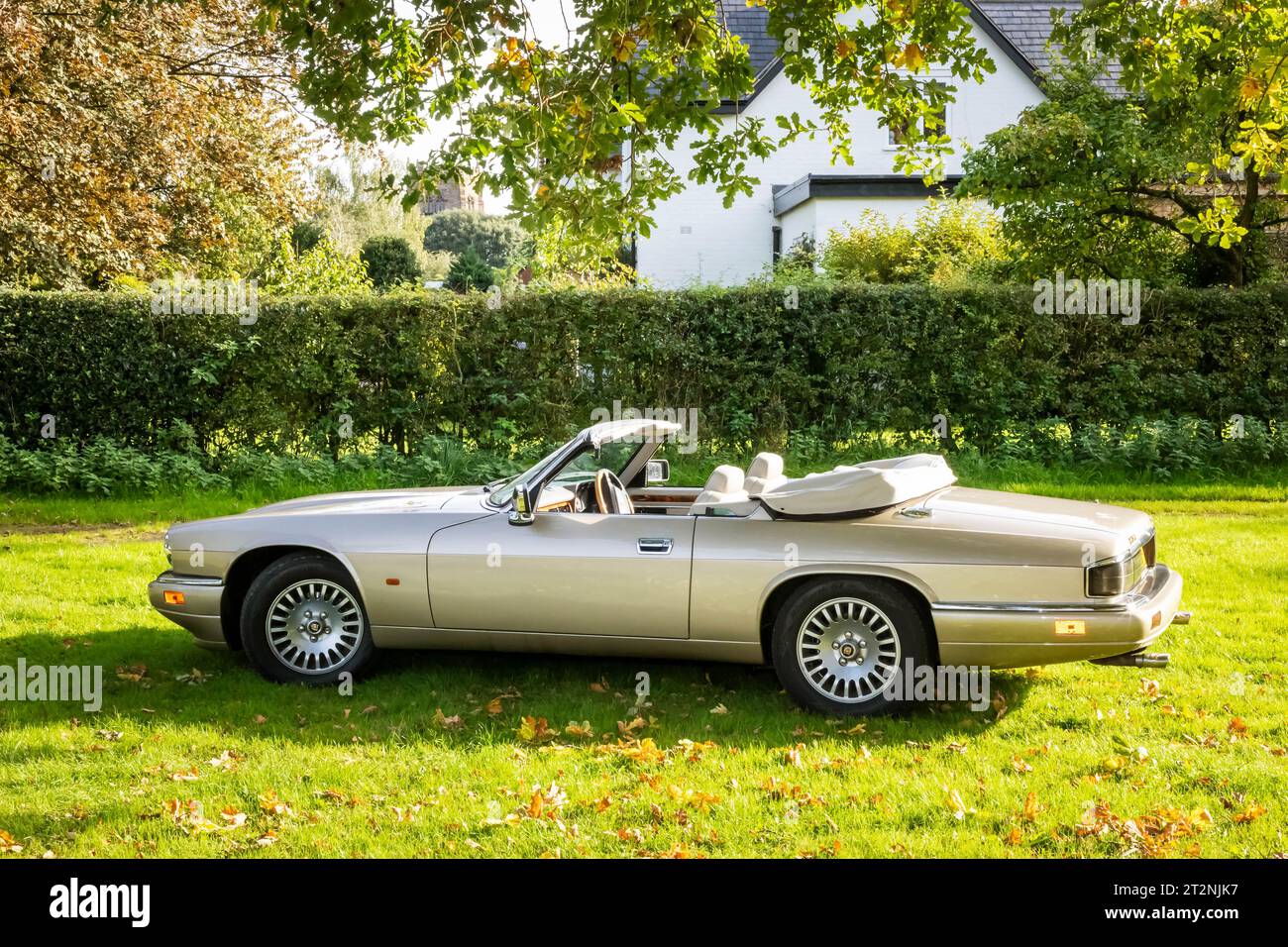 Convertible Jaguar XJS with top down in a country field in Autumn Stock ...