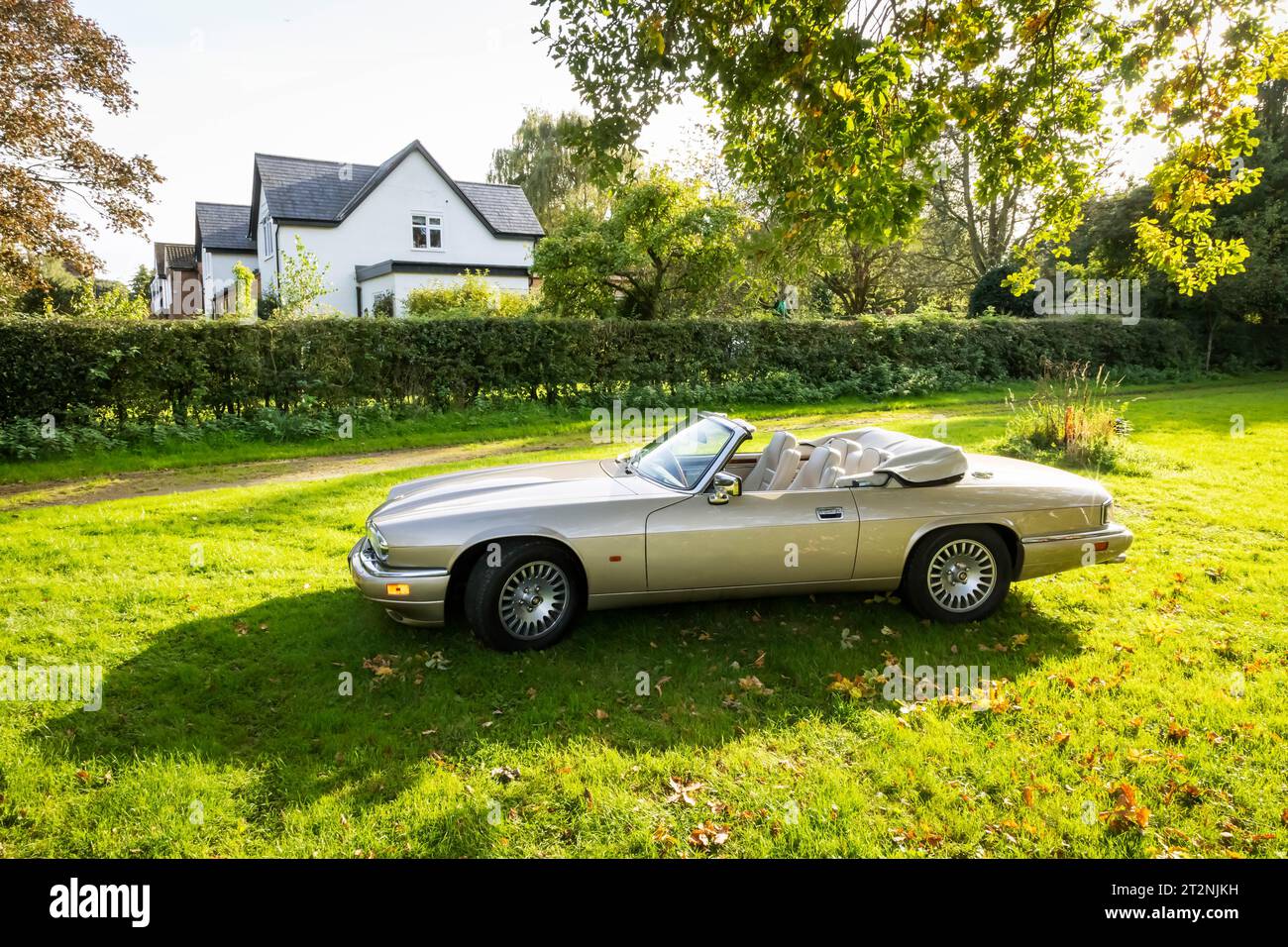 Convertible Jaguar XJS with top down in a country field in Autumn Stock ...