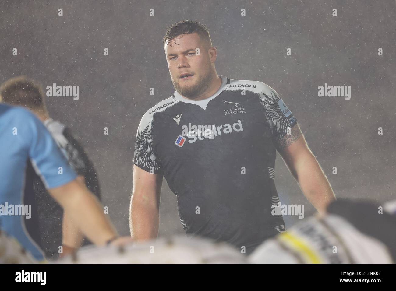 Murray mccallum rugby hi-res stock photography and images - Alamy