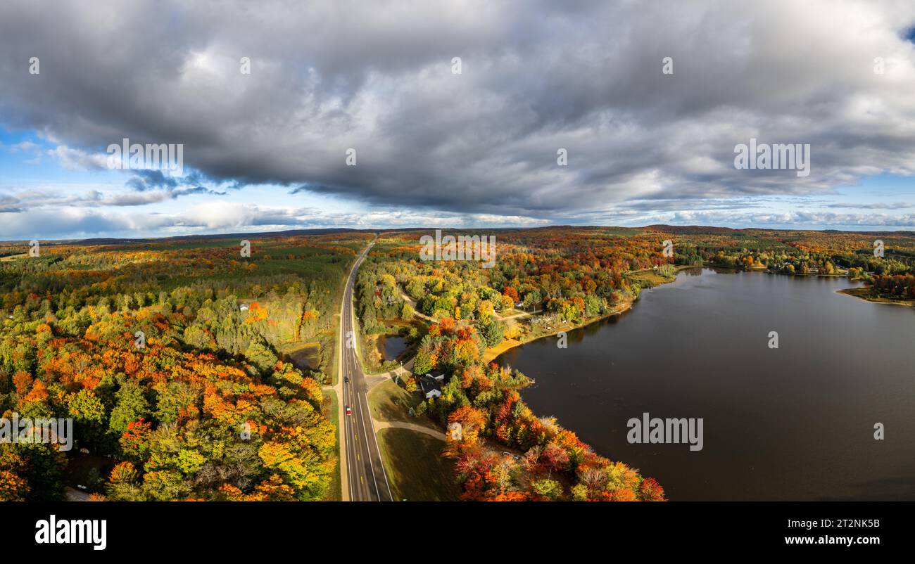 An Aerial view of a lush green landscape with rows of trees under the ...