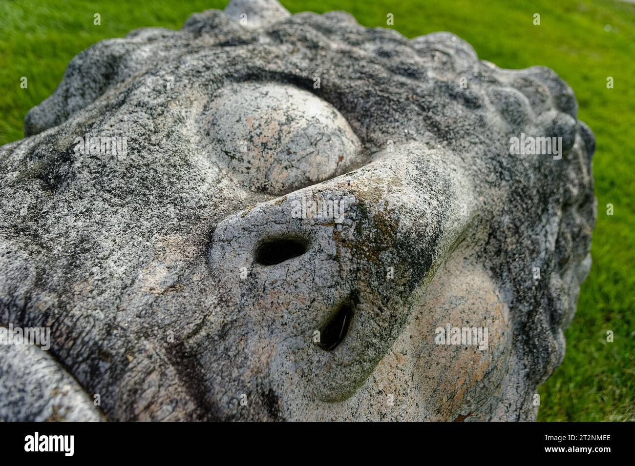 A concrete sculpture of a roman looking man's head rests in the grass ...